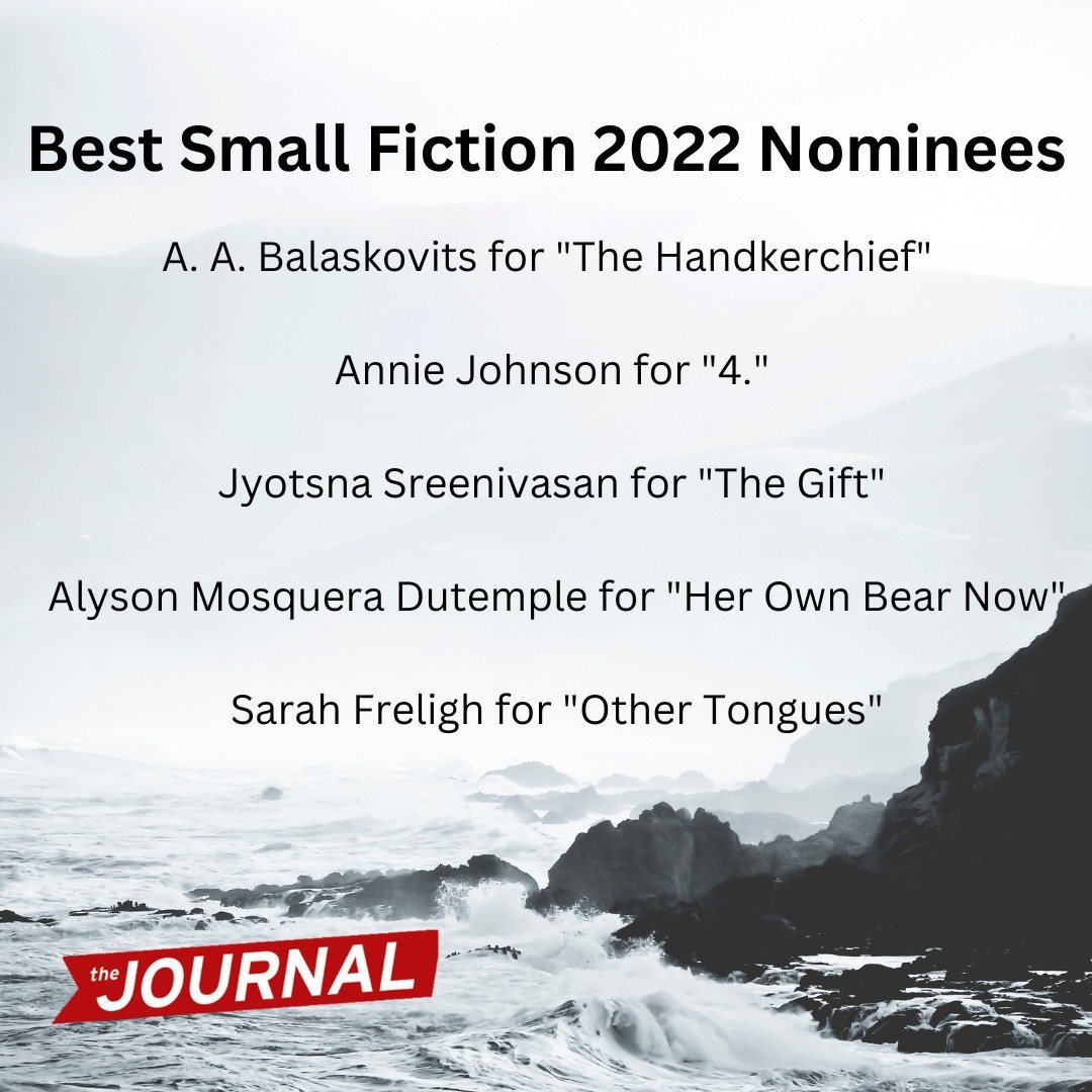 Nominations For Michelle Ross And Sarah Freligh – Moon City Press