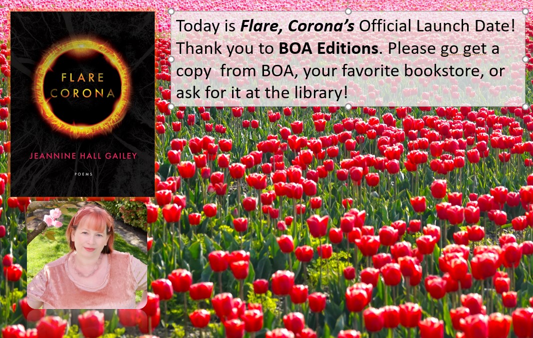 Jeannine Hall Gailey Publishes New Poetry Collection Through BOA ...